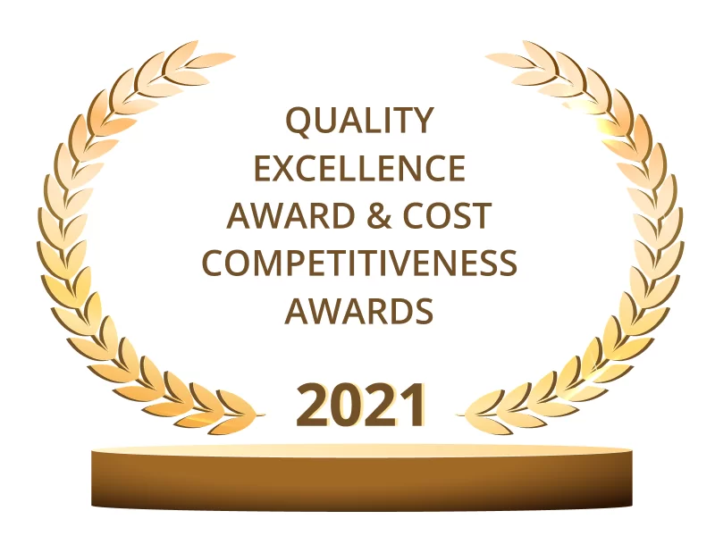 Light Vehicle Braking Solutions – Brakes India